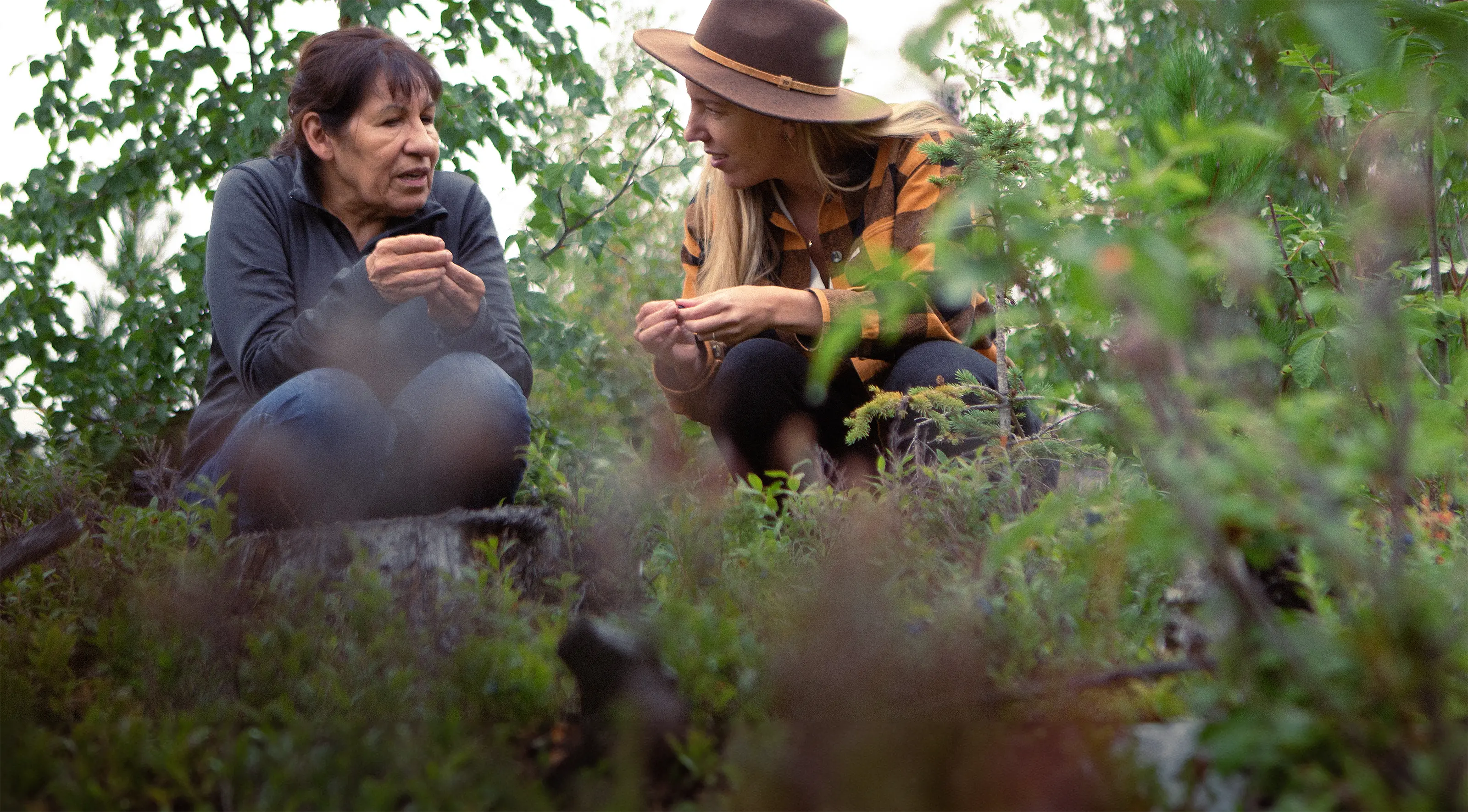 Our Team — Sequoia Legal LLP